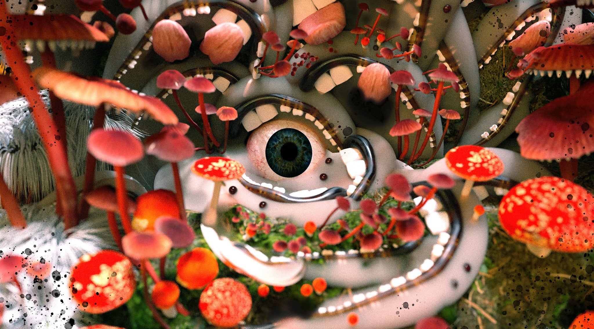 Gallery Selection – Digital Introspect